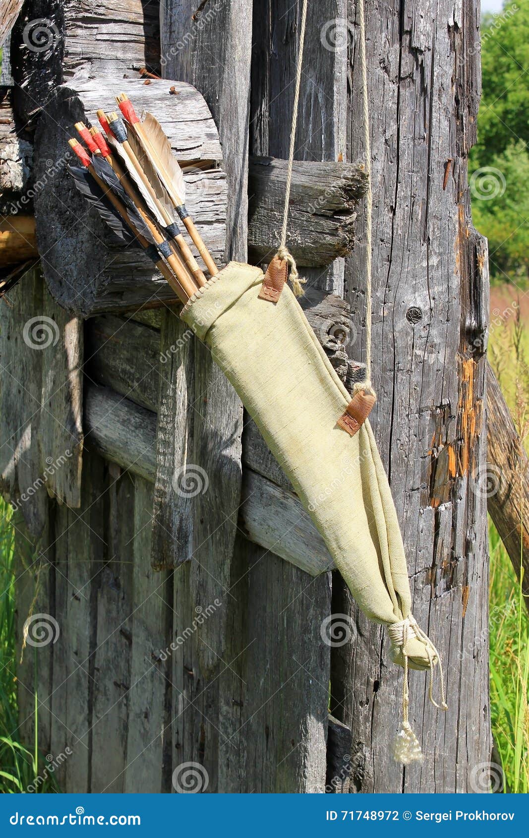 Bow and arrows stock photo. Image of model, forest, arrow - 71748972