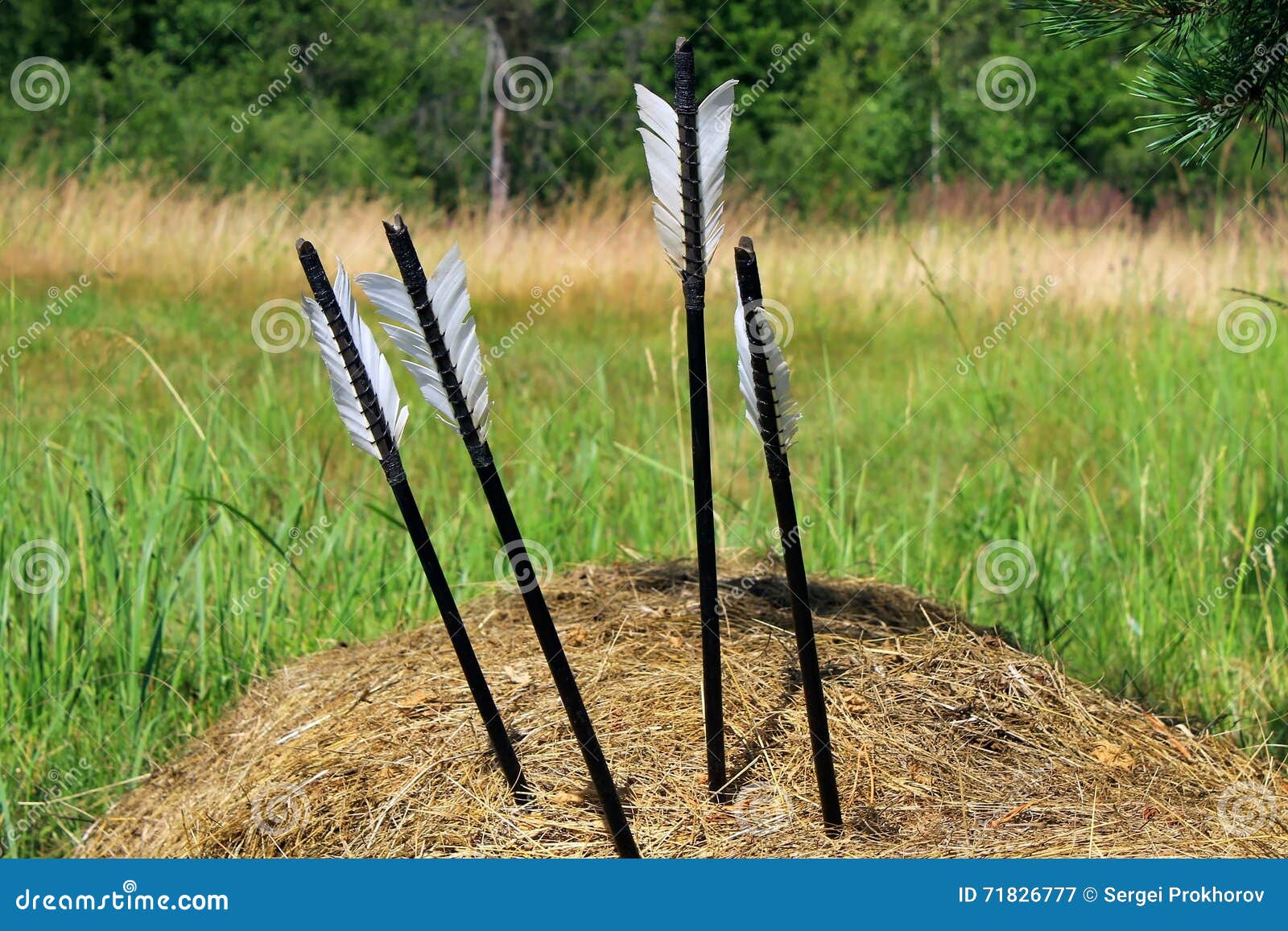 Bow and Arrows in the Hay Stack Stock Image - Image of archery, sniper ...