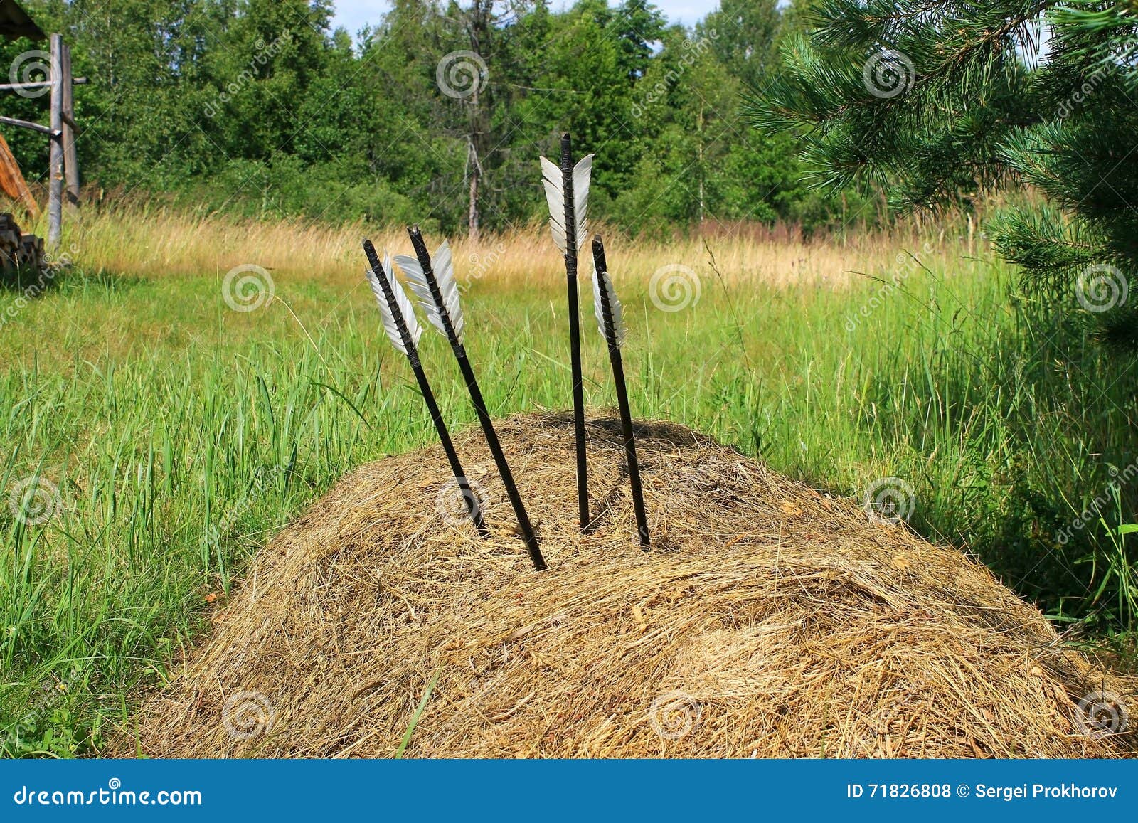 Bow and Arrows in the Hay Stack Stock Photo - Image of wild, soldier ...
