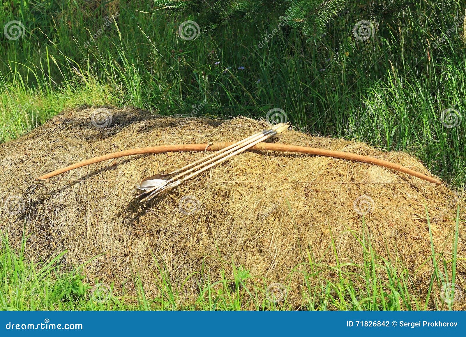 Bow and Arrows in the Hay Stack Stock Photo - Image of weapon, ancient ...
