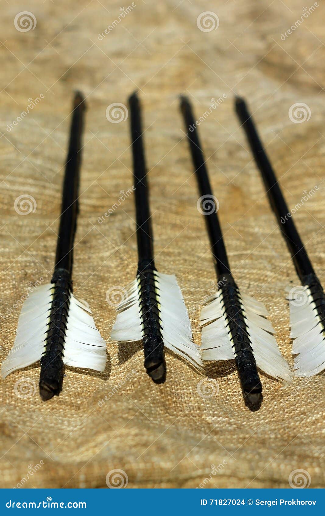 Bow and Arrows in the Hay Stack Stock Photo - Image of detail, tree ...