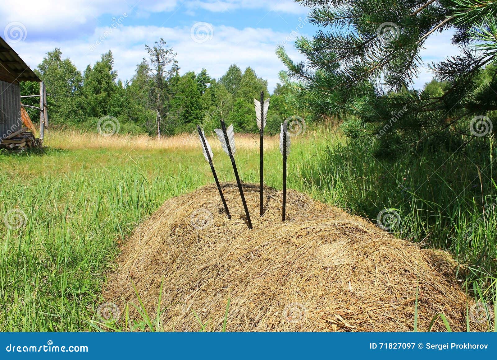 Bow and Arrows in the Hay Stack Stock Image - Image of ancient ...