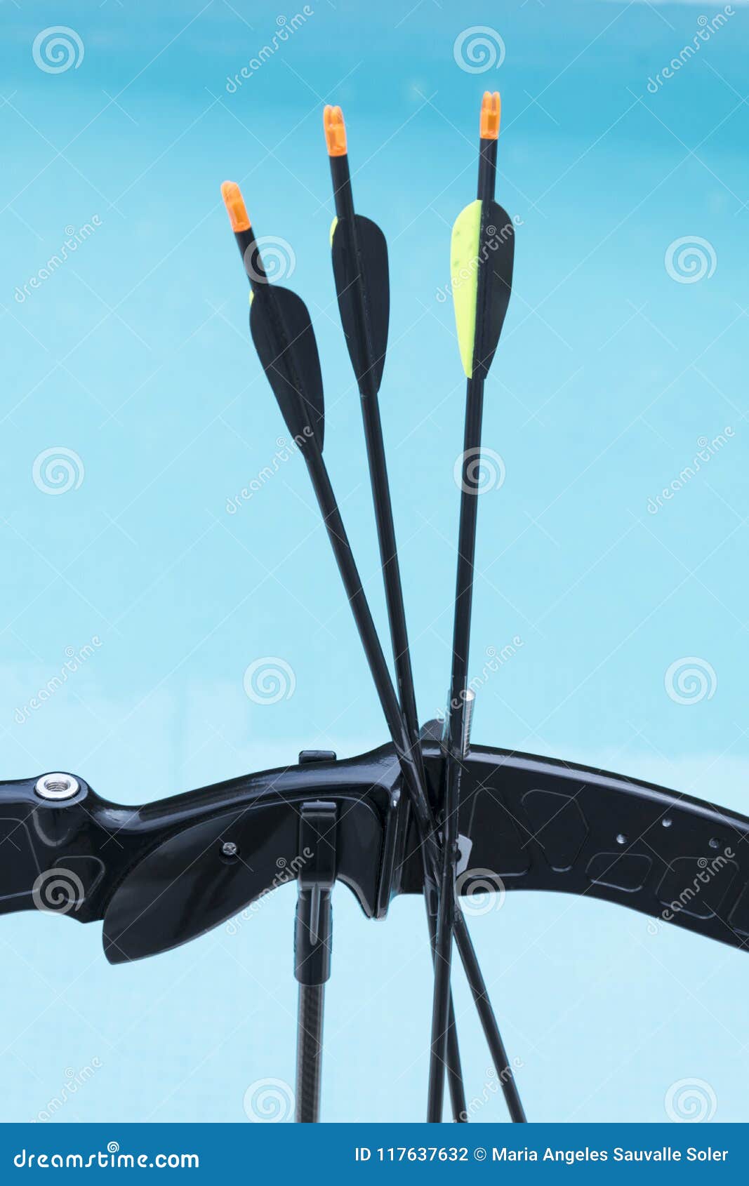 Bow and arrows. stock photo. Image of ready, competition - 117637632