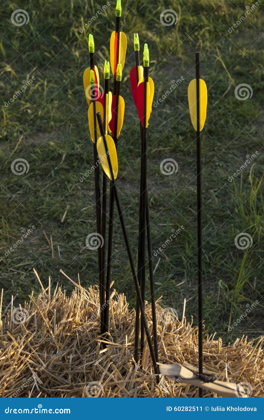 The Bow and Arrows, the Straw Stock Image - Image of sticking ...