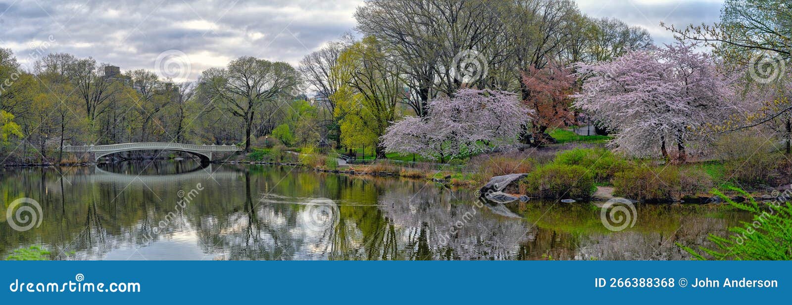 Bow bridge in spring stock photo. Image of trees, pulic - 266388368