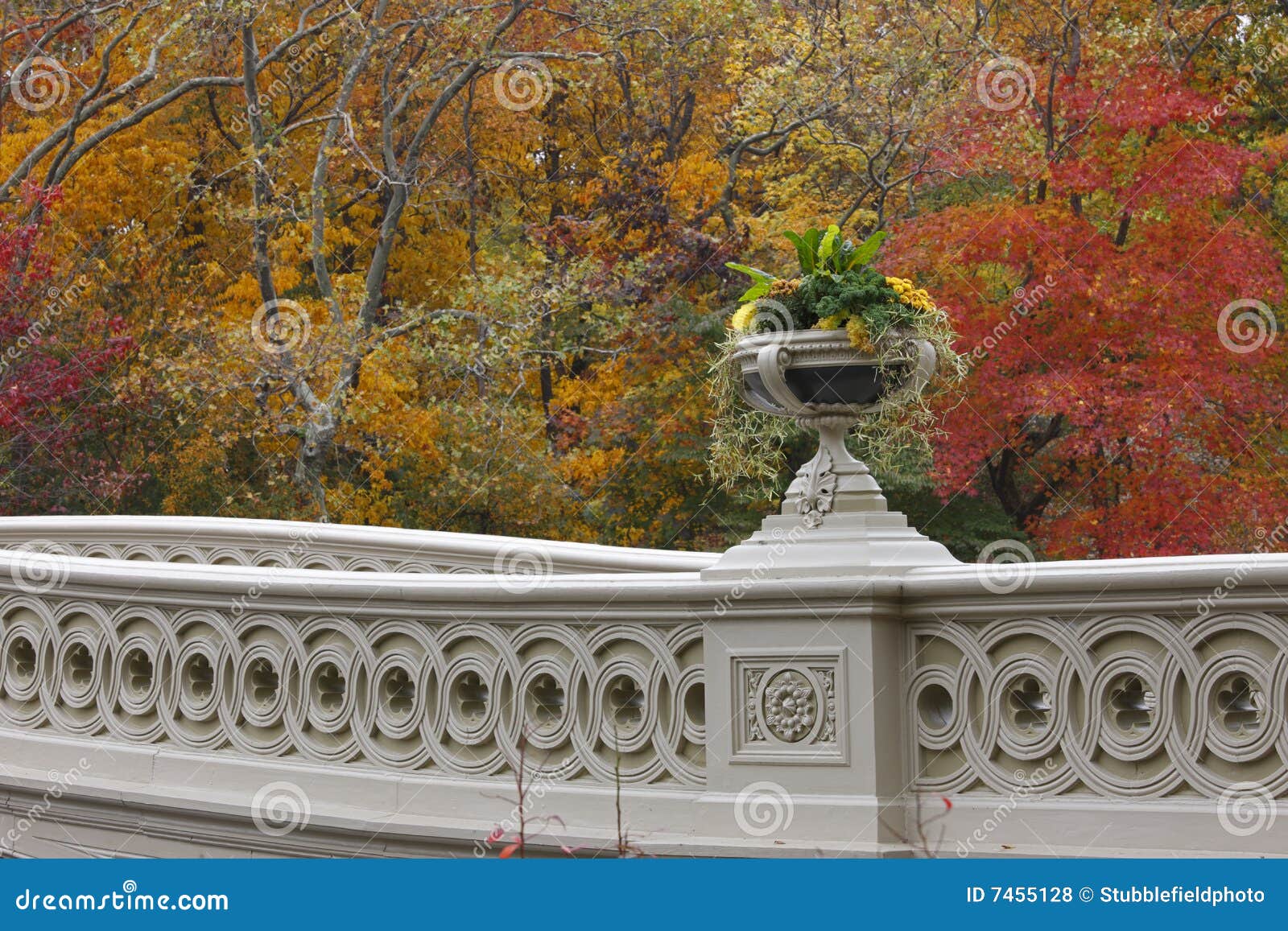 Bow Bridge in Central Park, NY during Fall Stock Photo - Image of ...