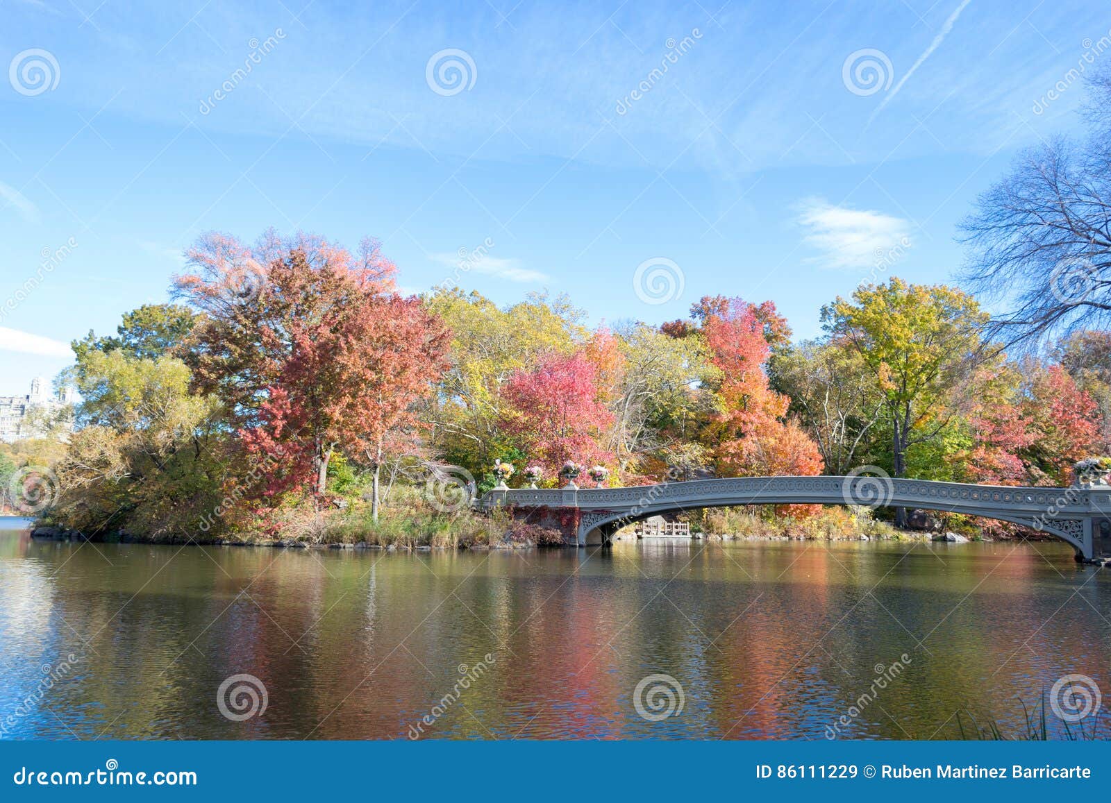 Bow Bridge during the Fall in Central Park Stock Image - Image of ...