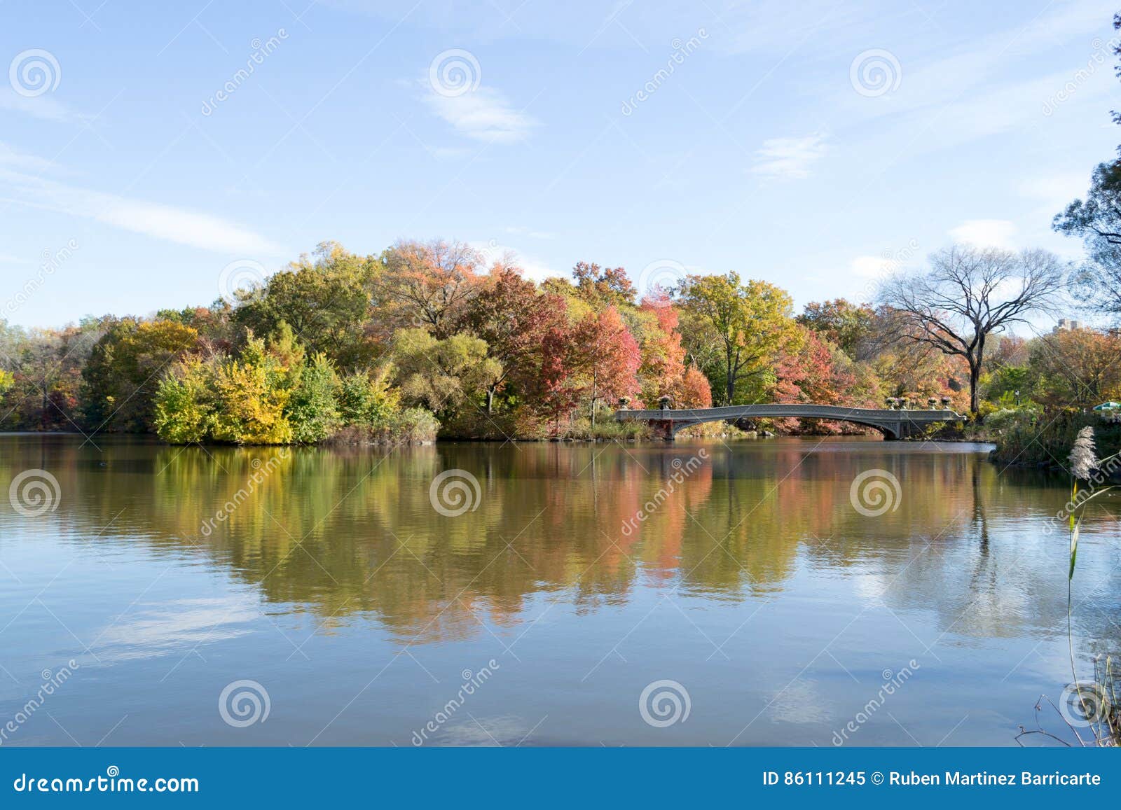 Bow Bridge during the Fall in Central Park Stock Image - Image of ...