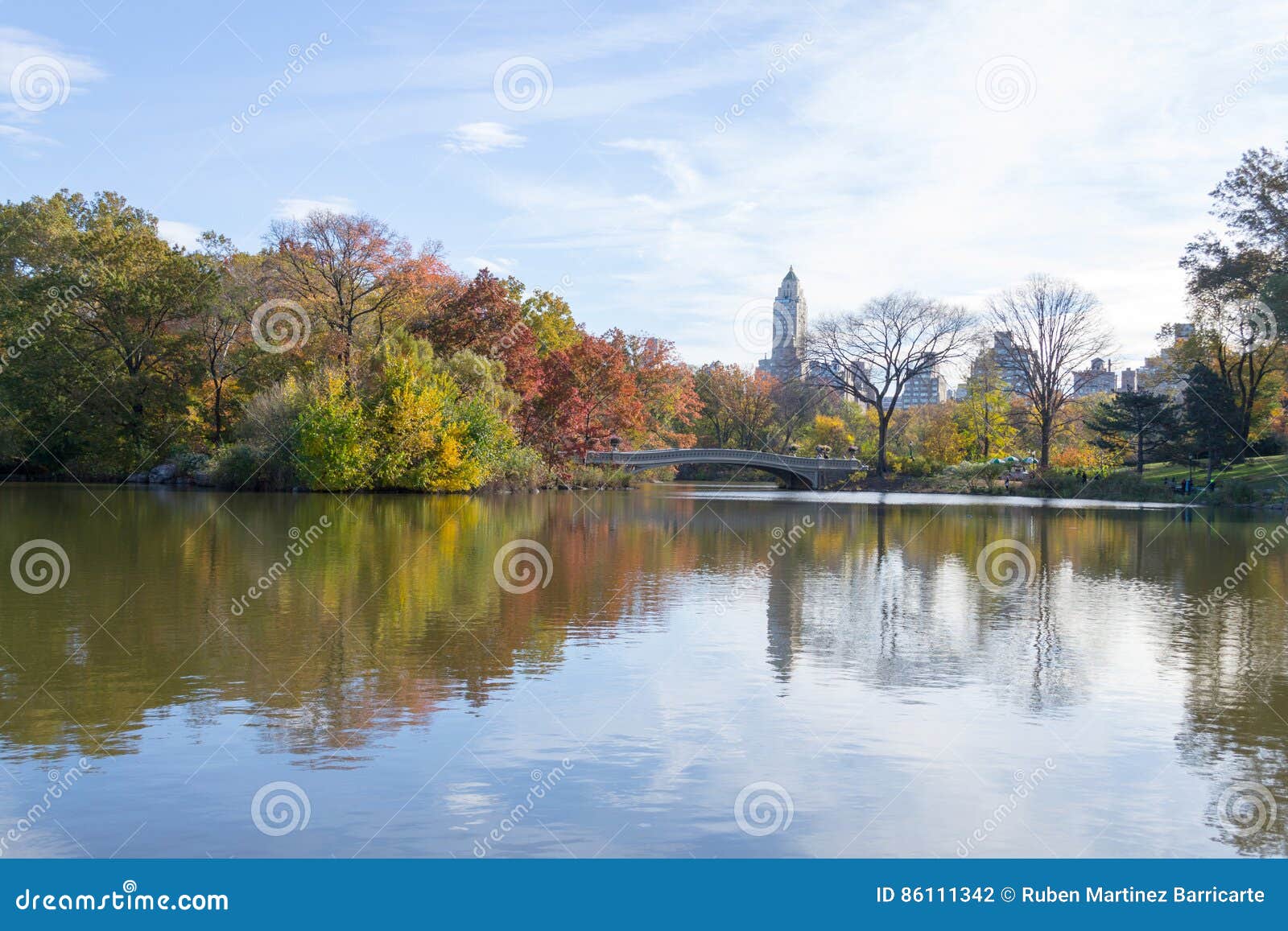 Bow Bridge during the Fall in Central Park Stock Photo - Image of brown ...