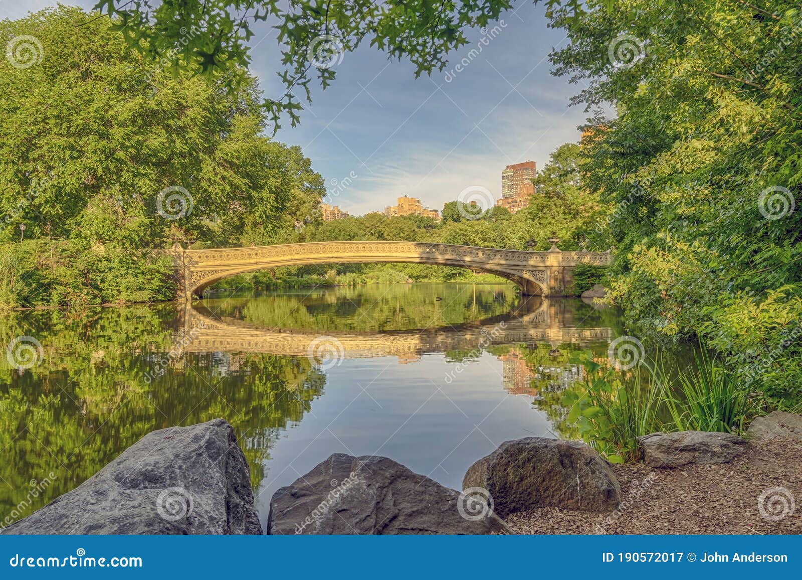 Bow bridge in summer stock image. Image of green, island - 190572017