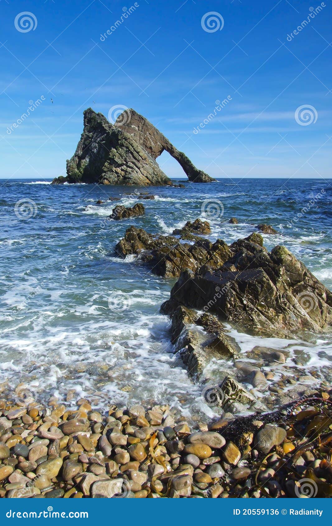 Bow Fiddle Rock, Scotland stock photo. Image of holes - 20559136