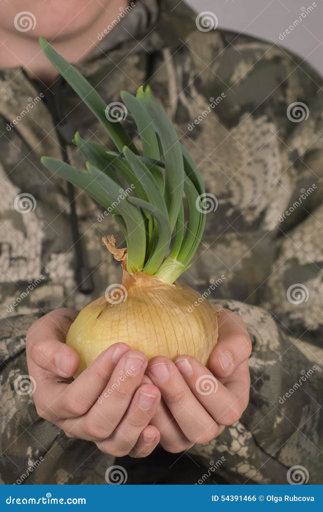 Bow in hand stock photo. Image of field, crop, hand, close - 54391466