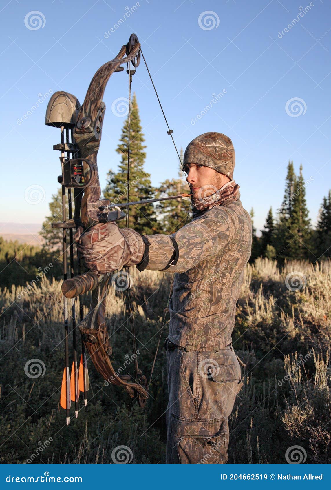 Bow Hunter Drawing Compound Bow in Mountains Stock Image - Image of ...