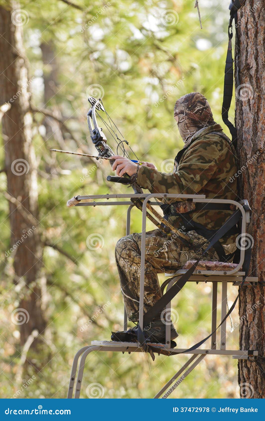 Bow hunter stock photo. Image of archer, human, aiming - 37472978