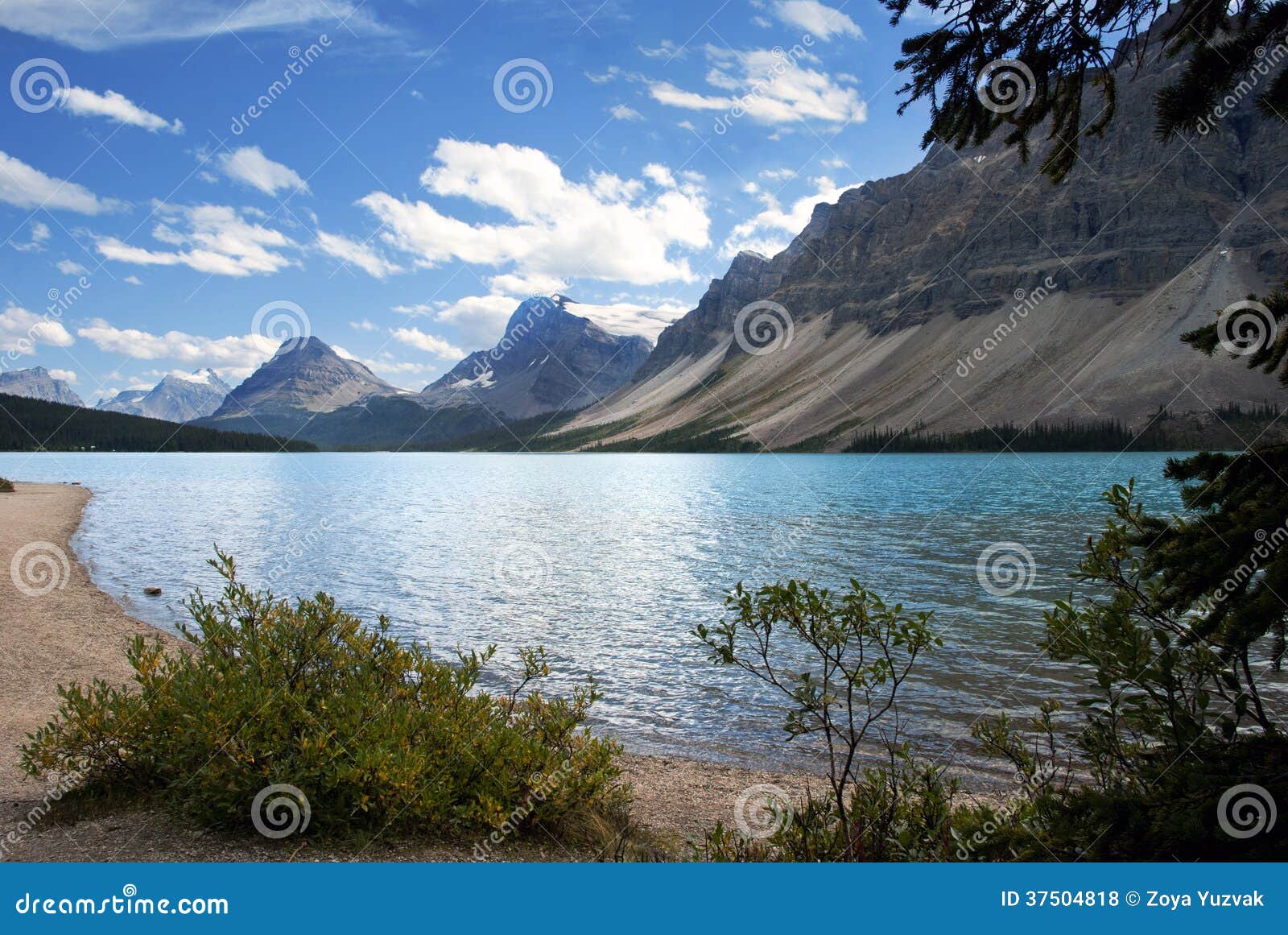 Bow Lake stock photo. Image of park, alberta, beautiful - 37504818