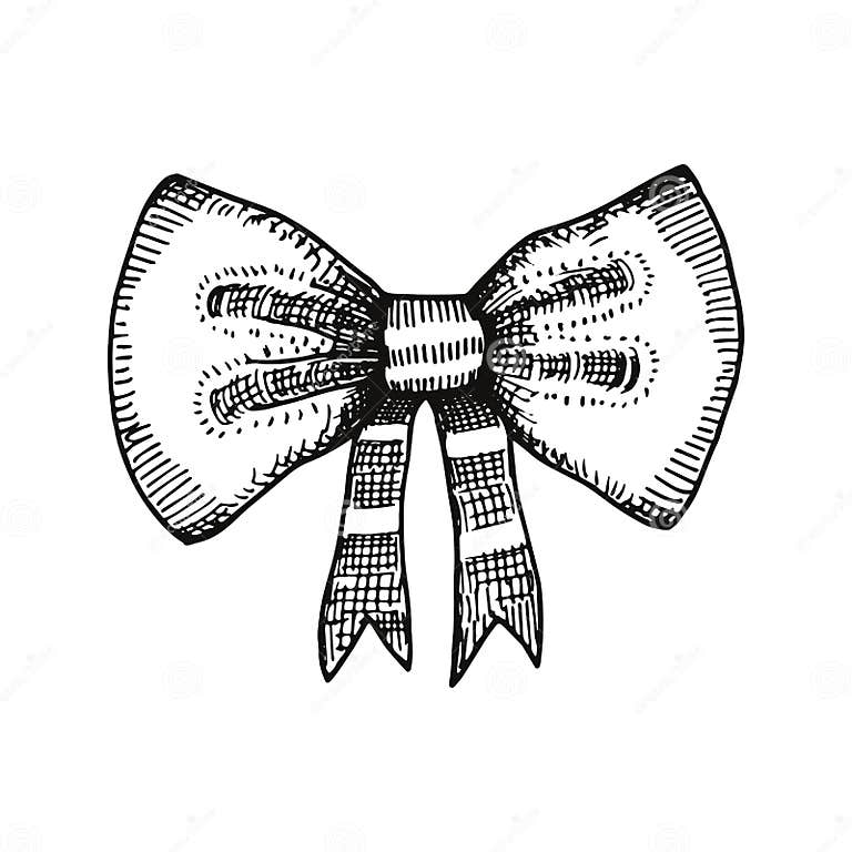 Bow Manual Drawing Vector Illustration Stock Vector - Illustration of ...