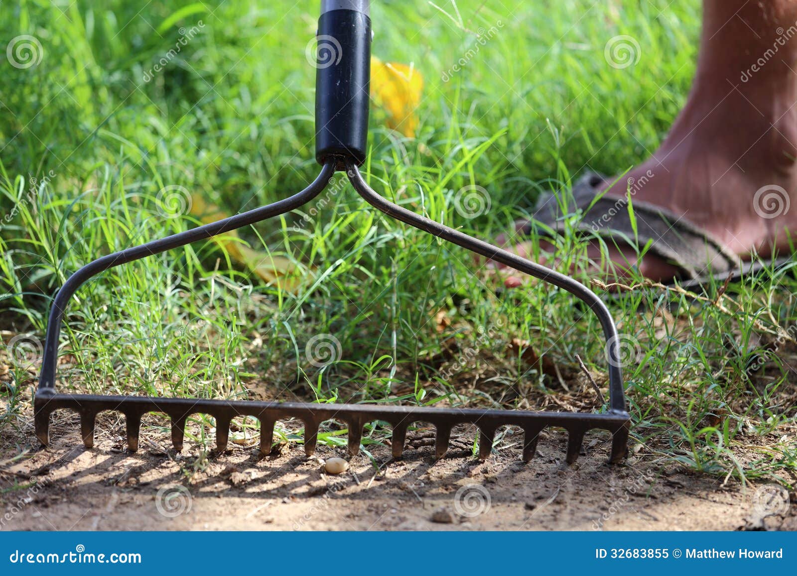 Bow Rake stock image. Image of tool, gardening, colorful - 32683855