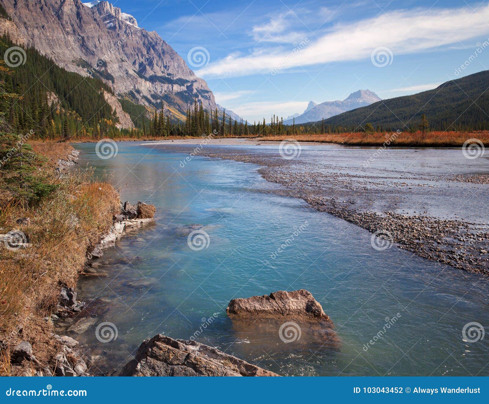 The Bow River in Banff, Alberta Canada Stock Photo - Image of forest ...