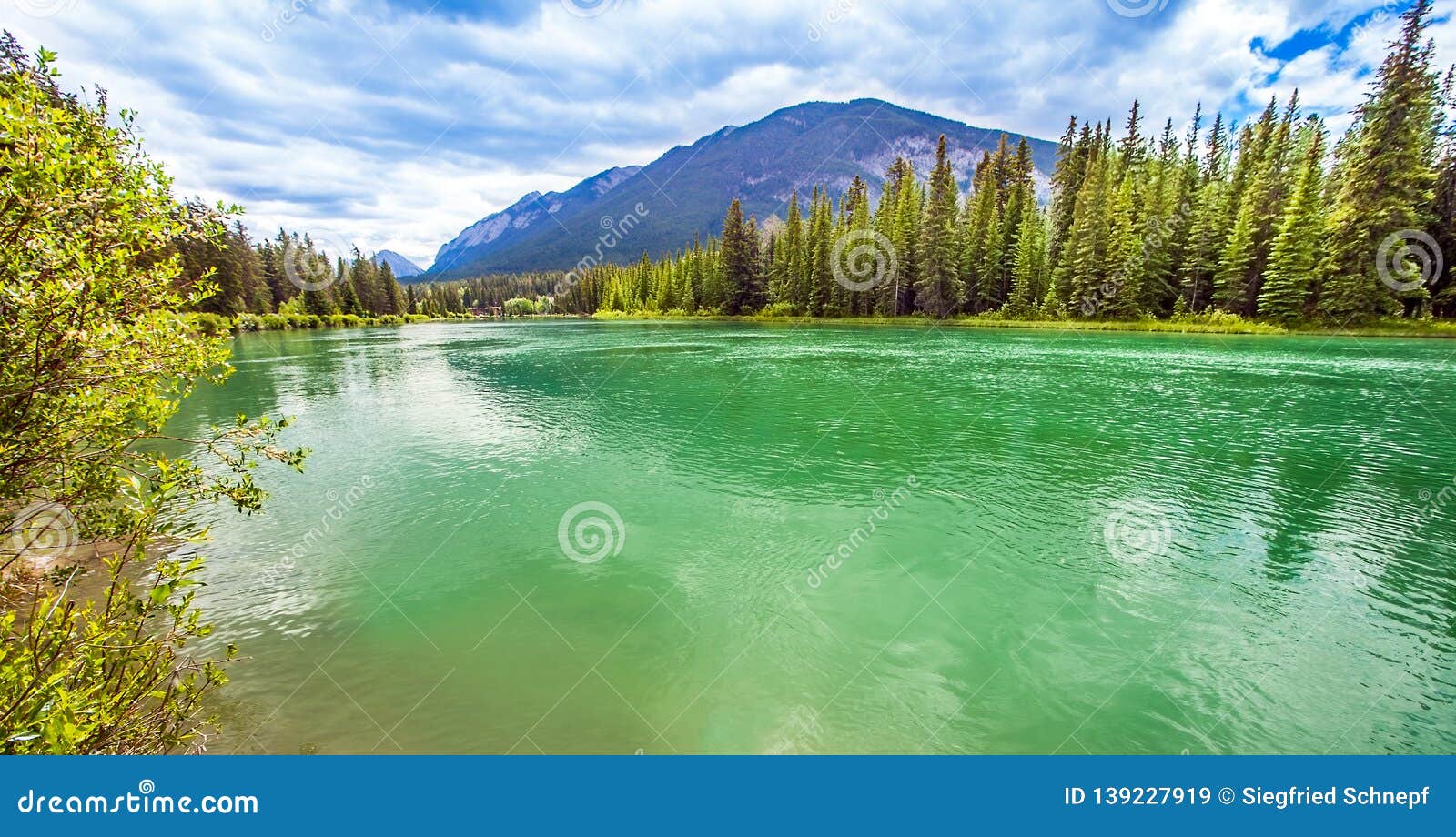 At the Bow River in Banff National Park Canada Stock Image - Image of ...