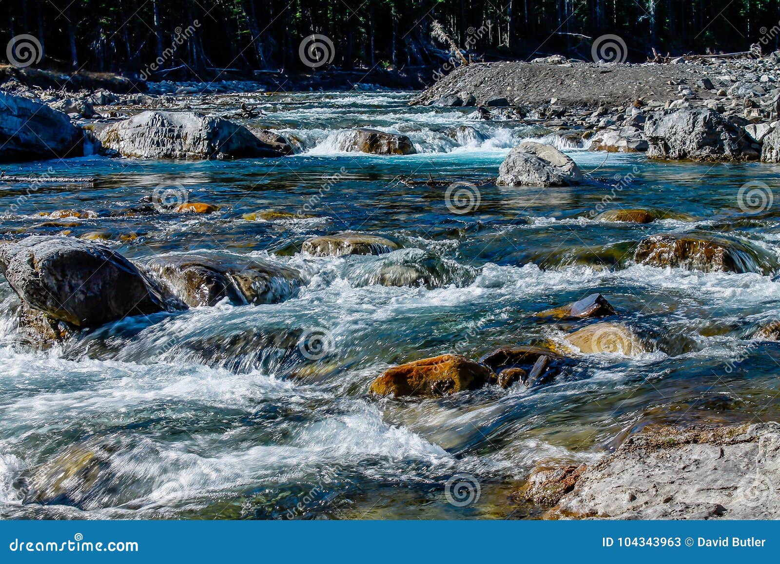 Rapid Flow Of The River Passes Near Trees And Shrubs, Cold Water Falls ...