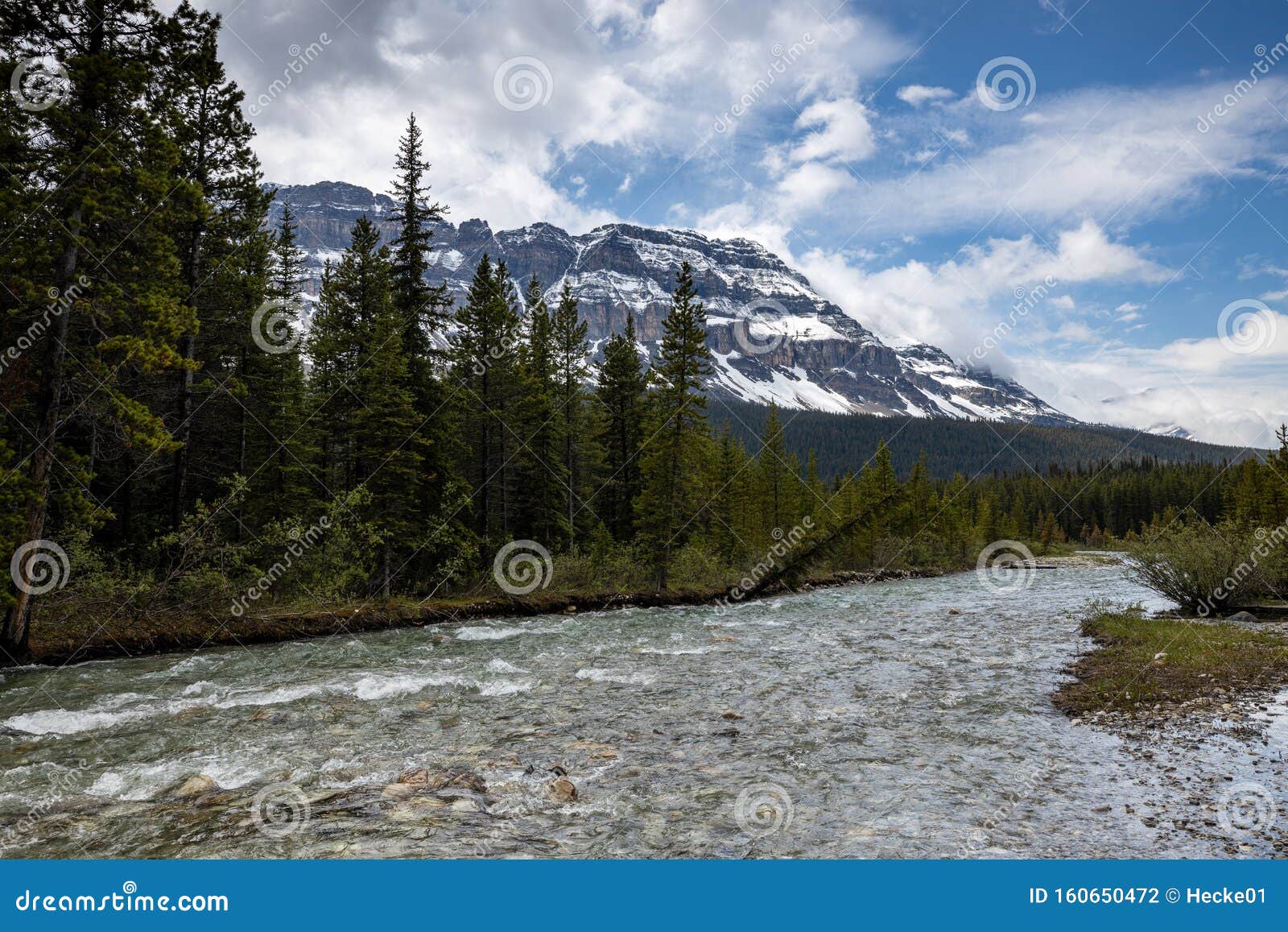 Bow River in the Bow Valley in the Rocky Mountains of Canada Stock ...