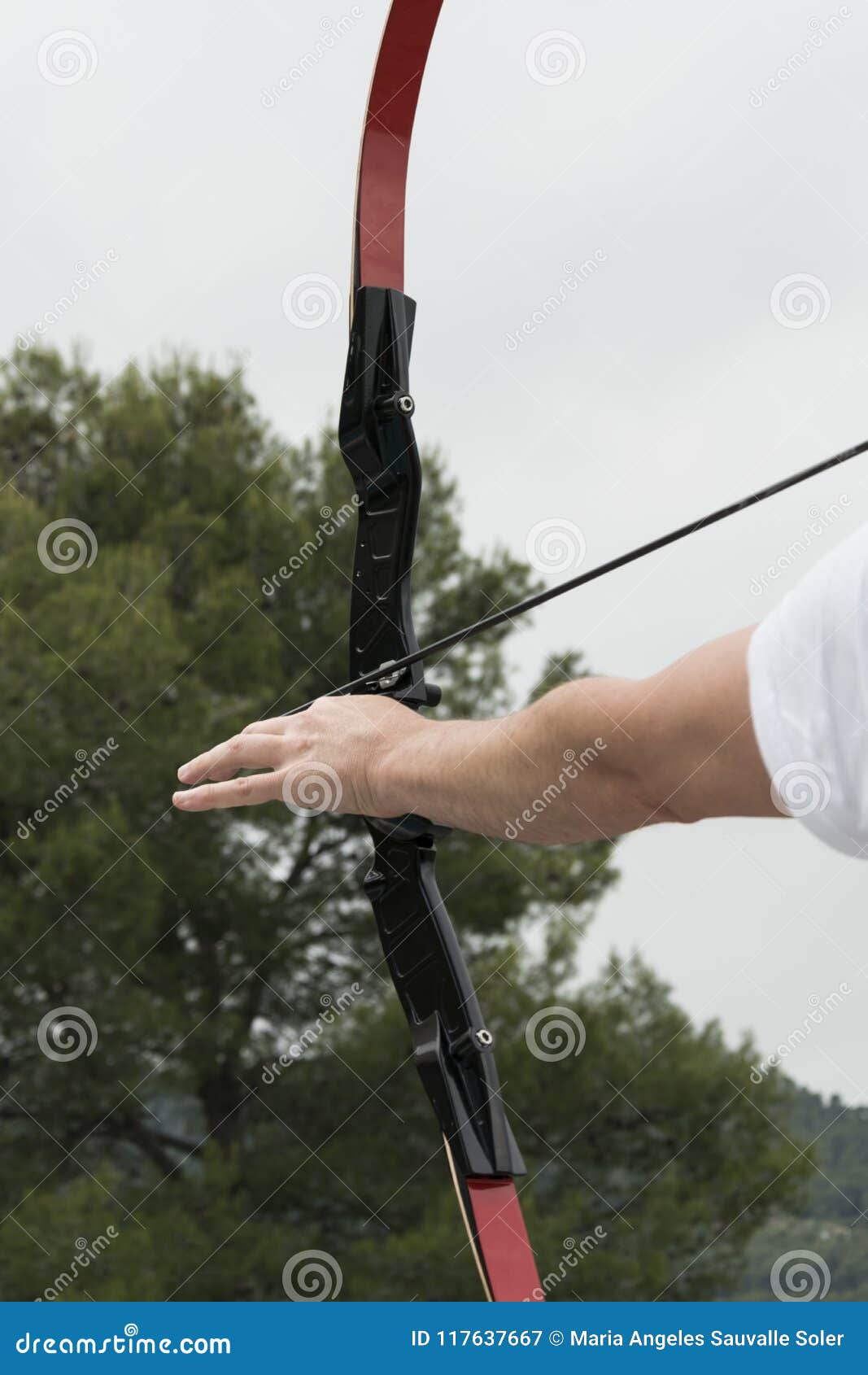 Bow and arrow. stock image. Image of launch, leisure - 117637667