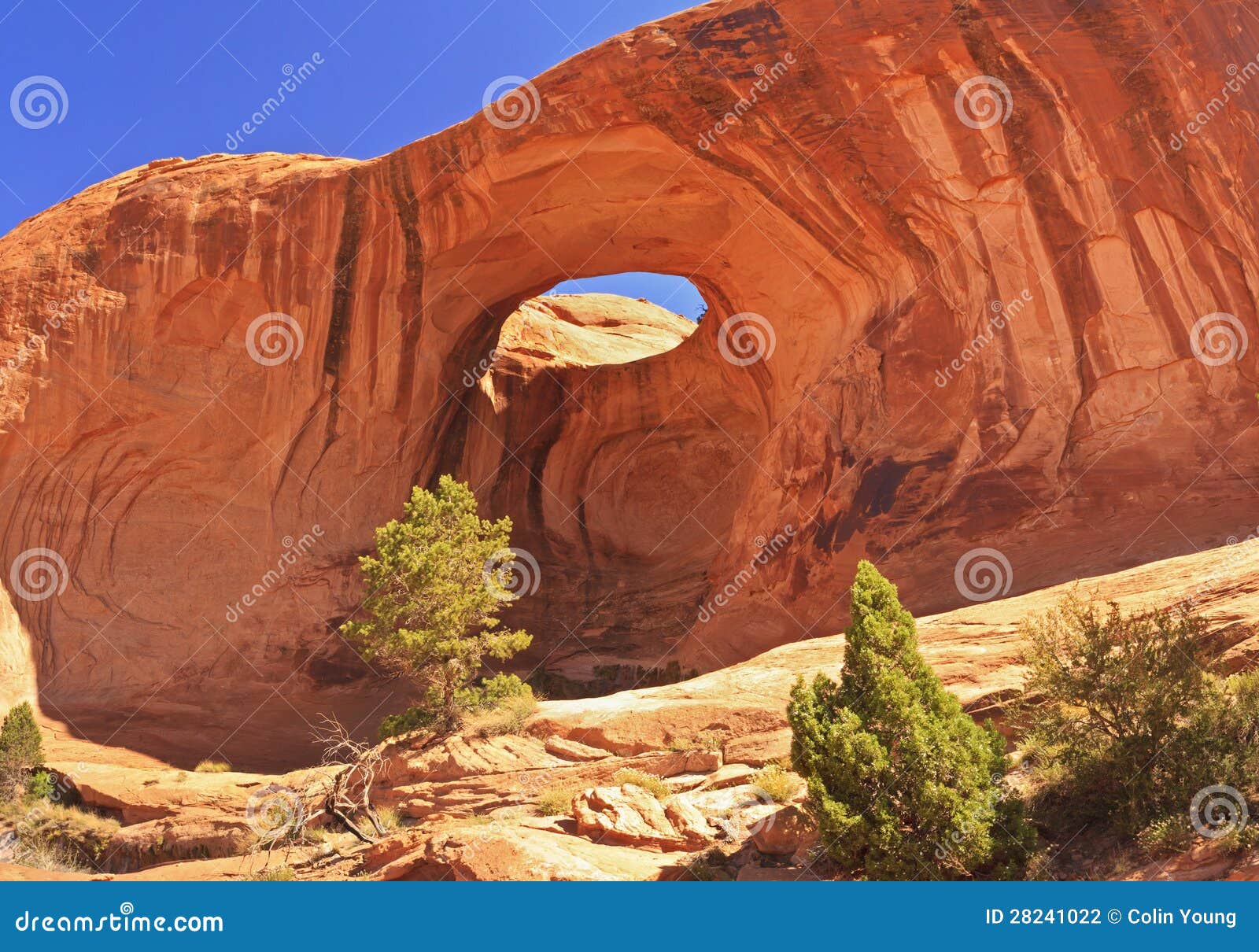 Bow Tie Arch Wide stock photo. Image of rocks, landmark - 28241022