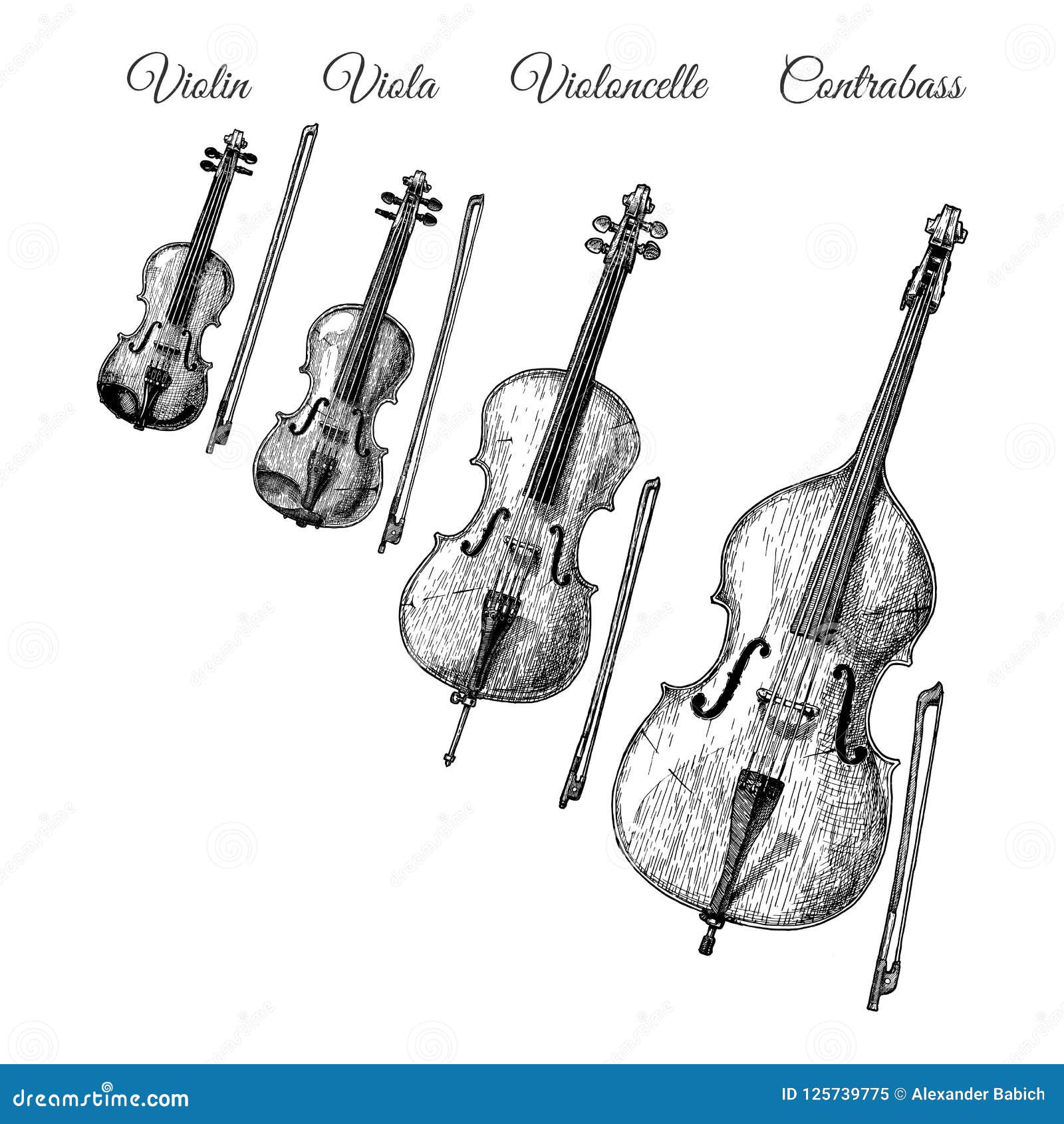 String Instruments Drawing String Instruments Drawing