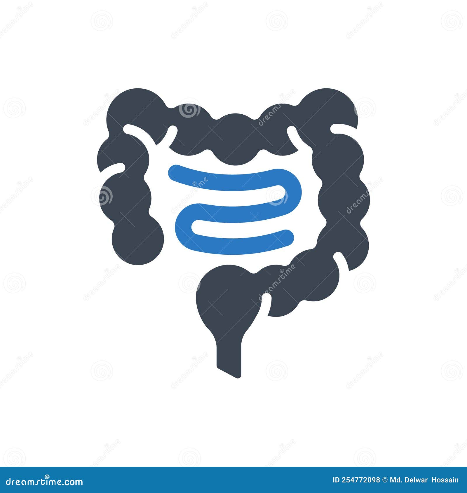Bowel organ icon stock vector. Illustration of icon - 254772098