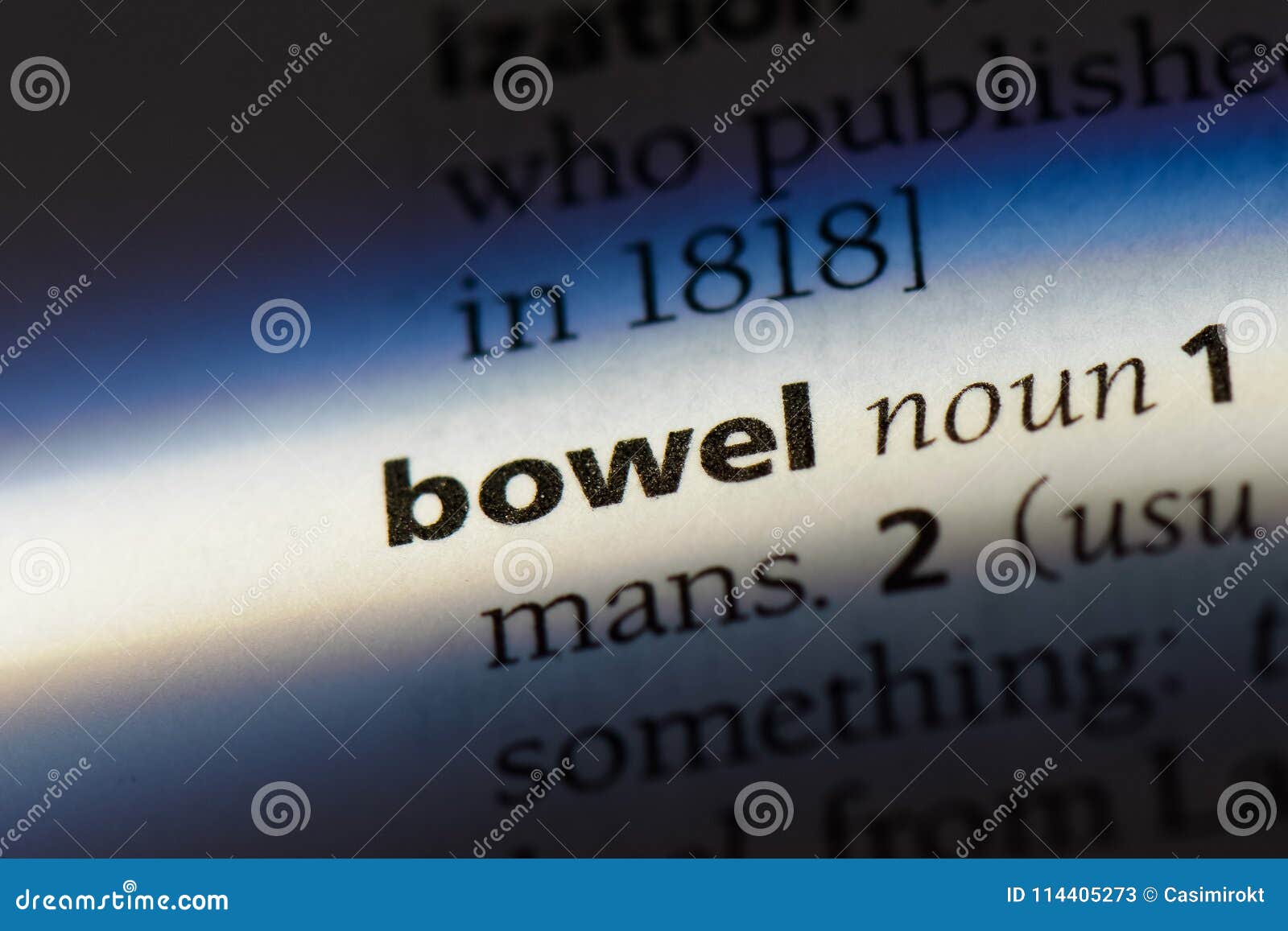 Bowel stock image. Image of book, closeup, dictionary - 114405273