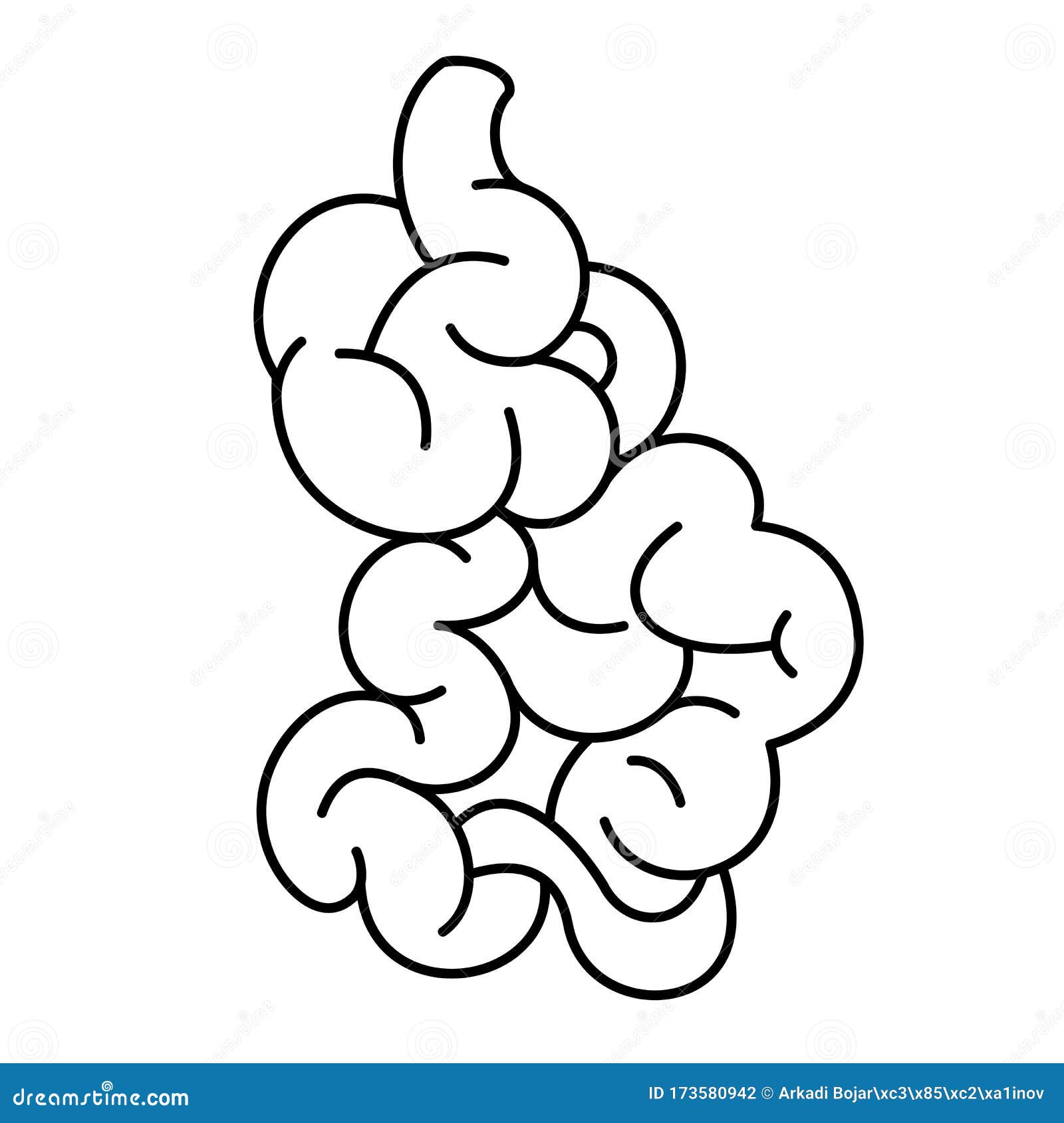 Bowels Intestine Vector Icon Stock Vector - Illustration of guts ...