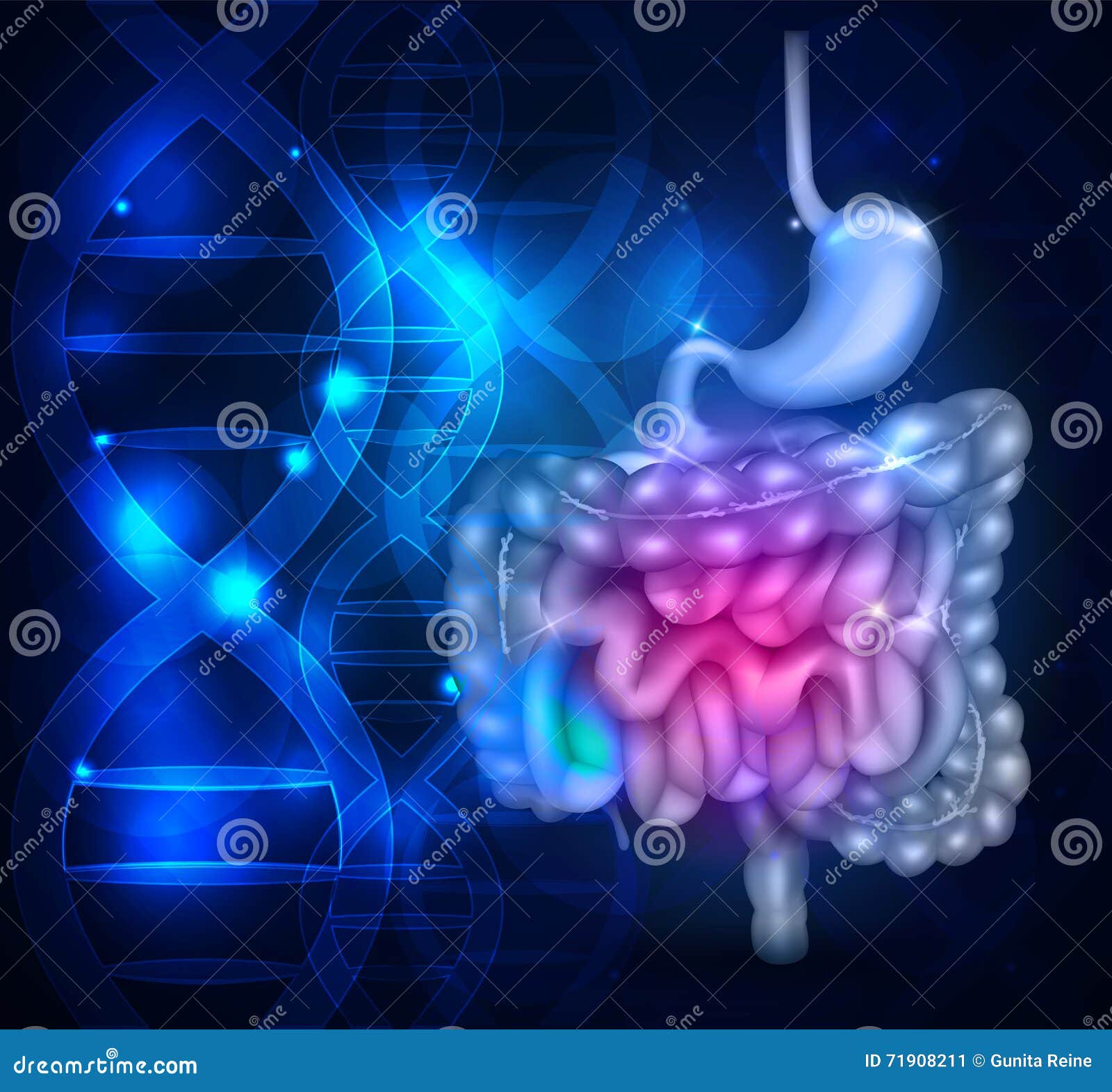 Intestine Or Bowels Icon Set Grey Black Color Vector Illustration ...