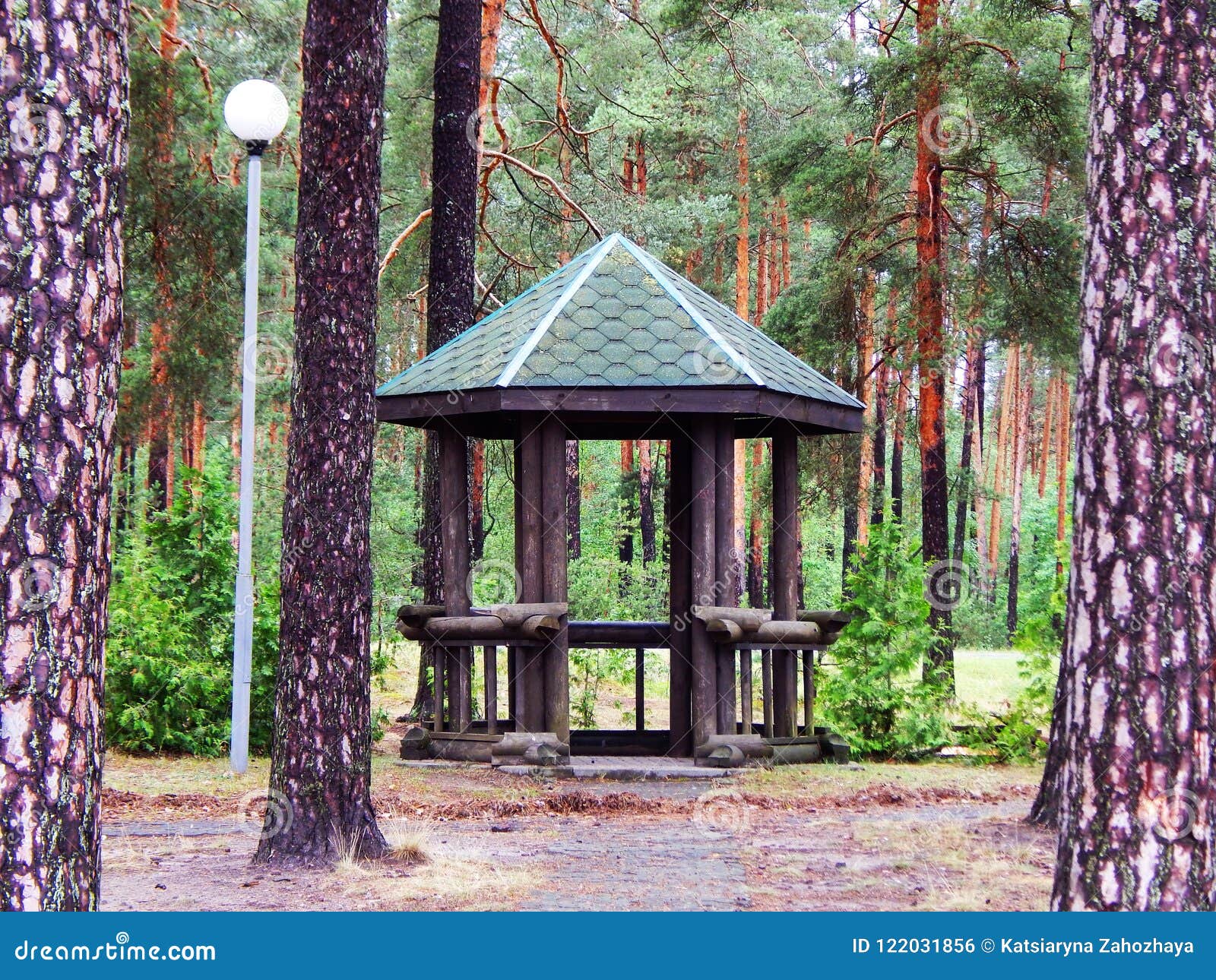 The bower in the forest stock photo. Image of green - 122031856