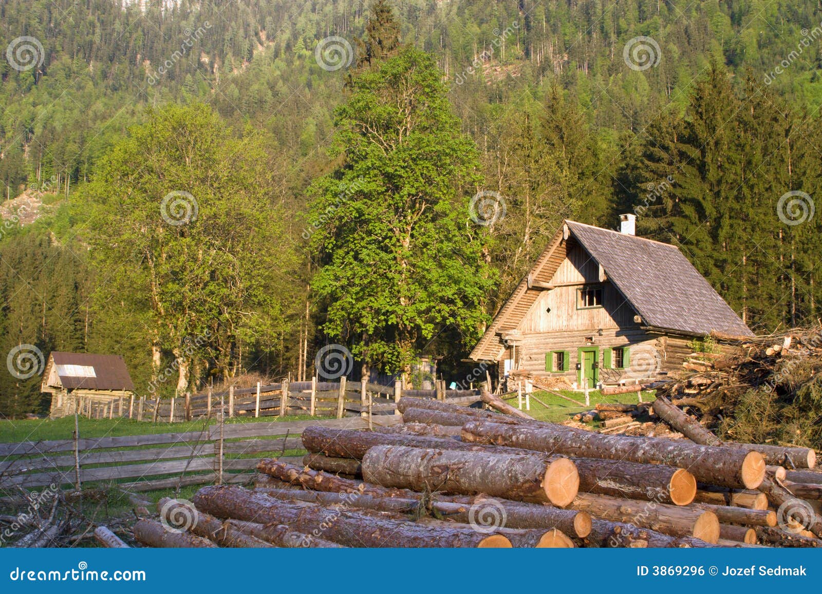 Bower under alps stock photo. Image of sunset, mountain - 3869296