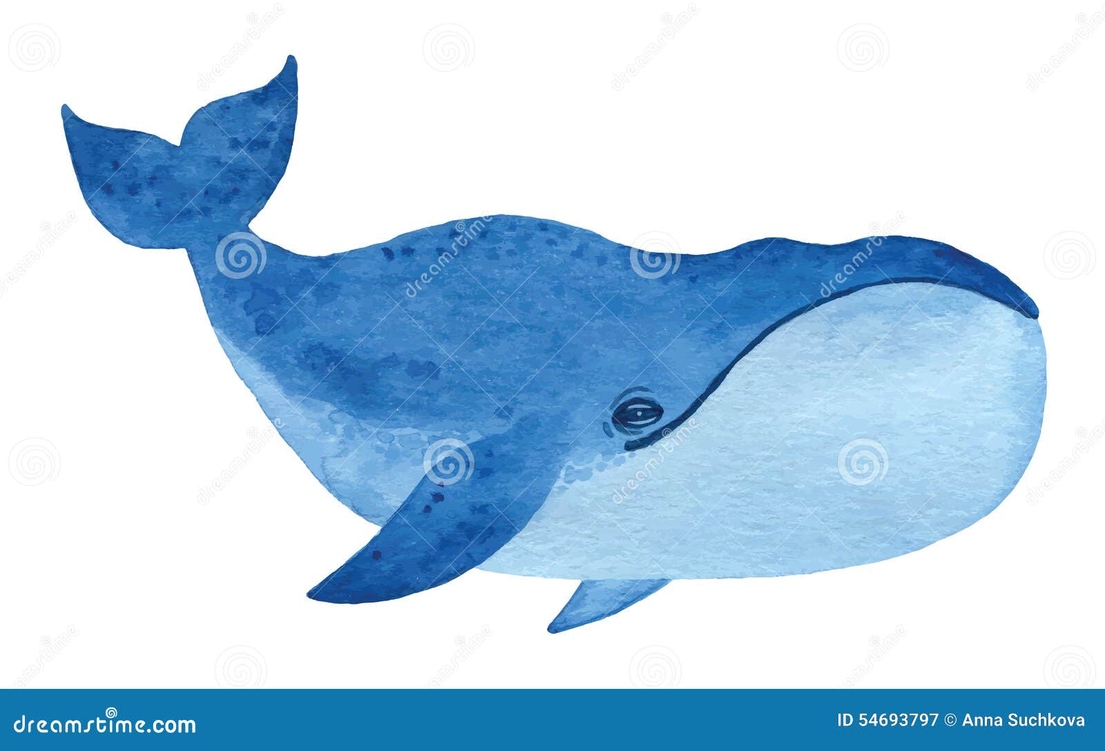 Bowhead whale stock vector. Illustration of blue, splash - 54693797