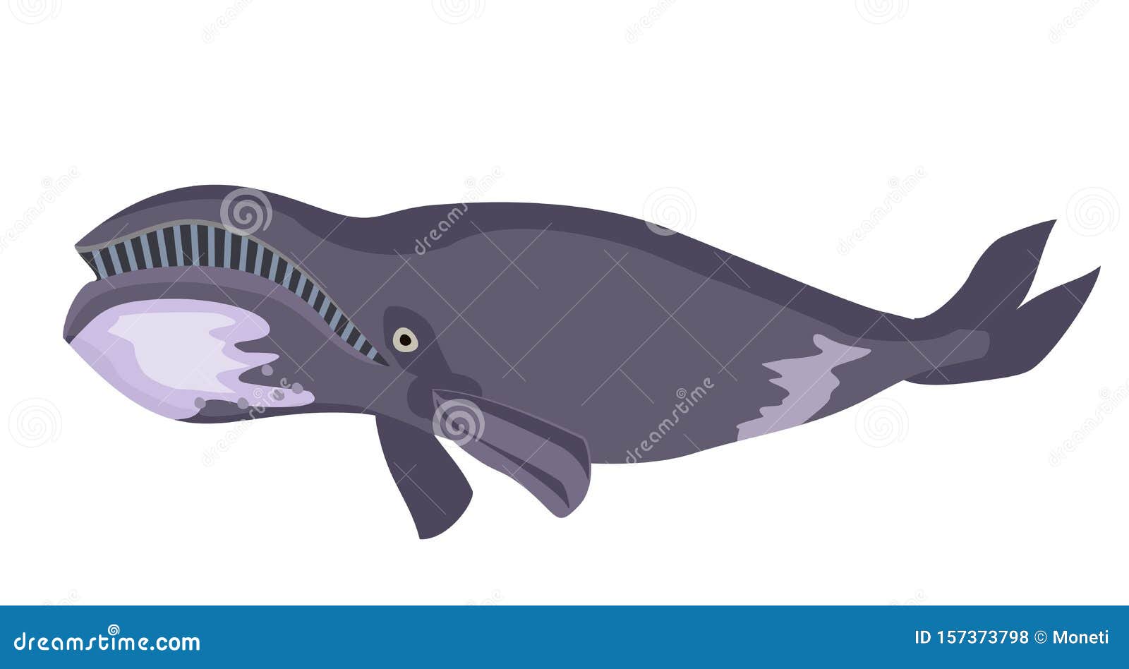 Bowhead Whale Cartoon Background Seamless Wallpaper Vector Illustration ...