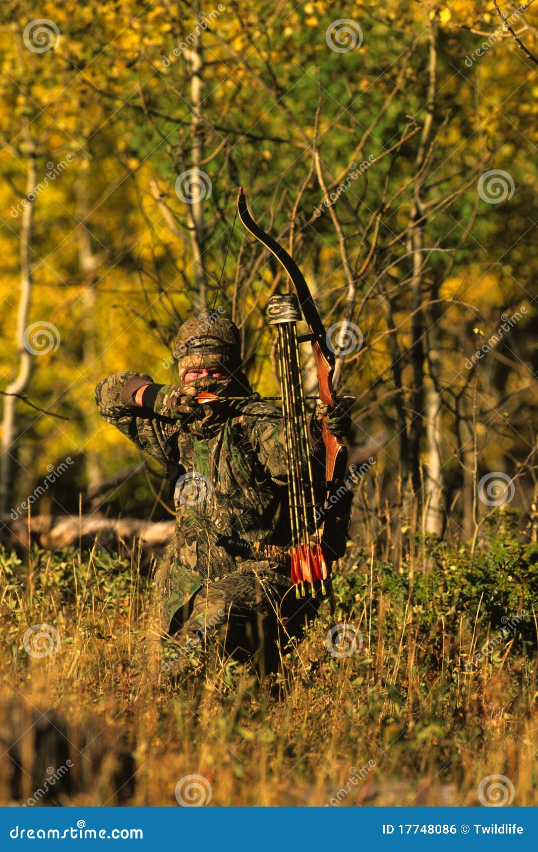 Bowhunter Bij Hoogtepunt Trekt Stock Foto - Image of buiten, jacht ...