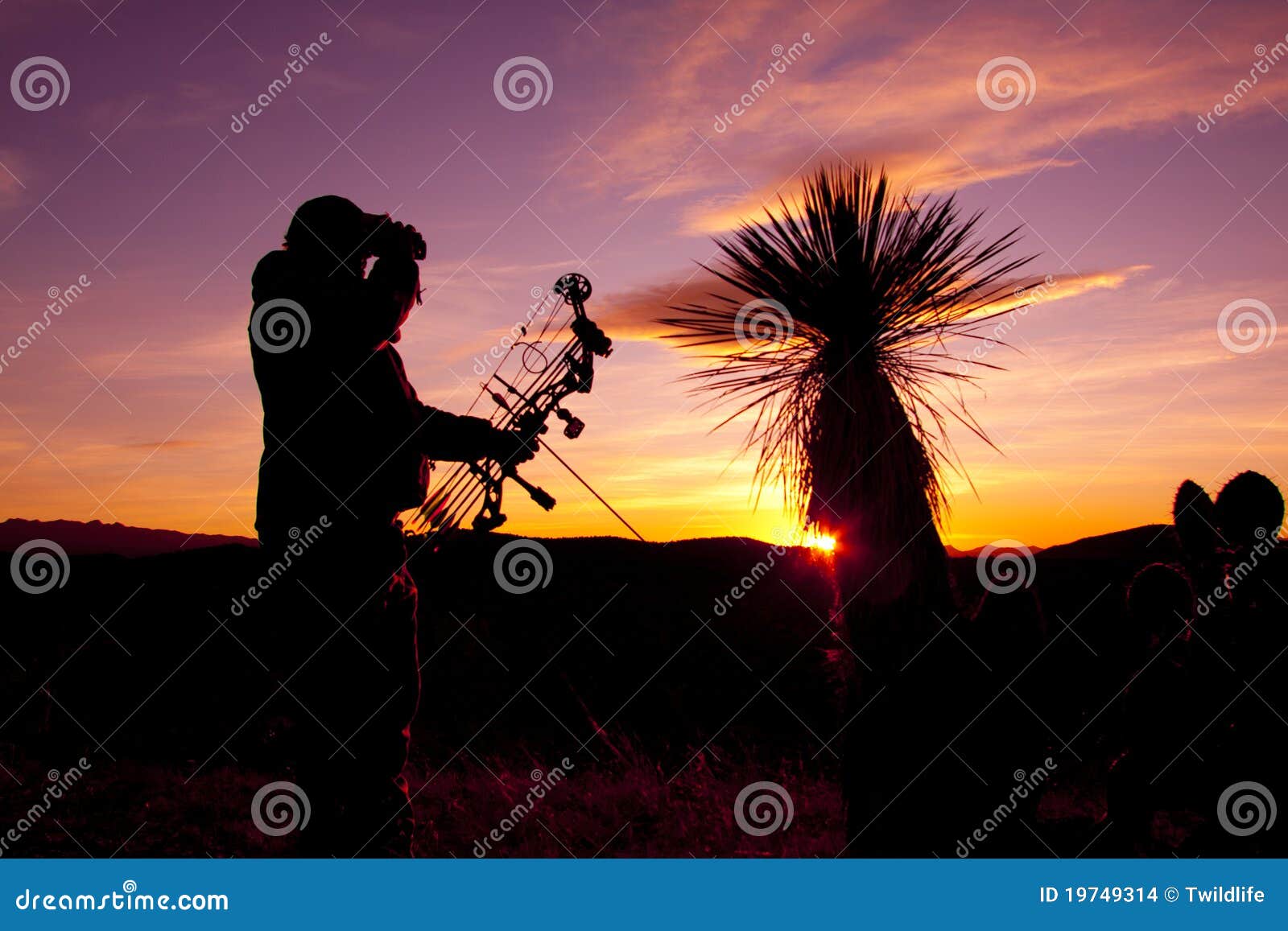 Bowhunter Glassing in Sunset Stock Photo - Image of archery, weapon ...