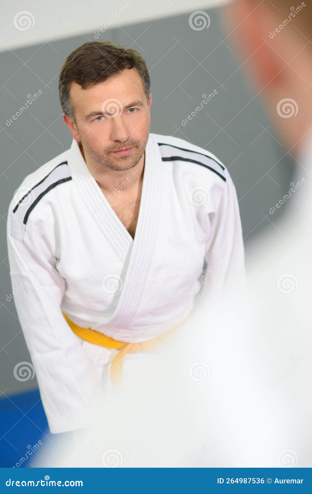 Bowing in a dojo stock photo. Image of active, hand - 264987536