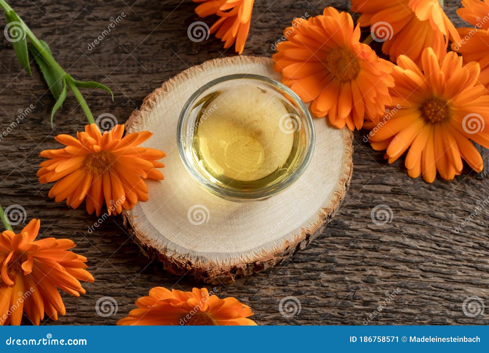 A Bowl of Calendula Essential Oil with Fresh Calendula Flowers Stock ...