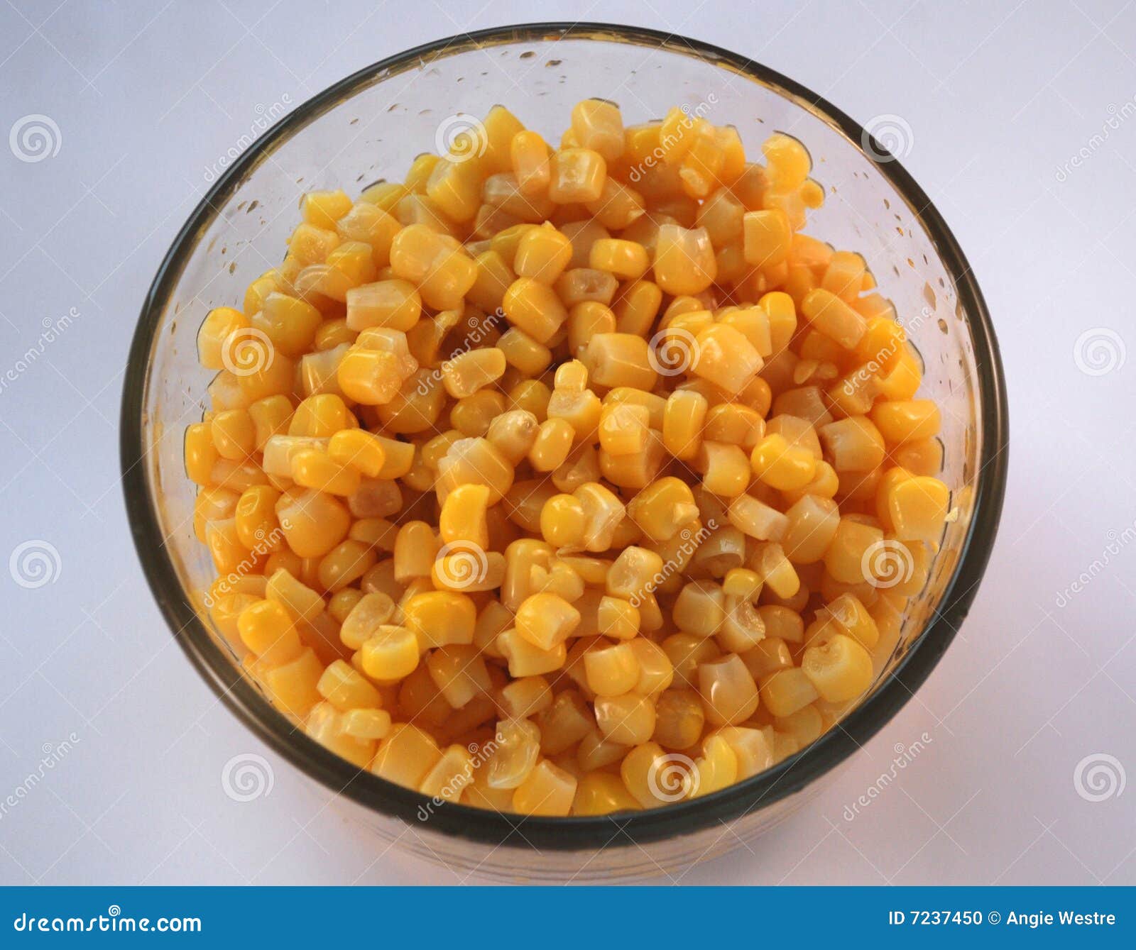 Bowl of corn stock photo. Image of husk, golden, corn - 7237450