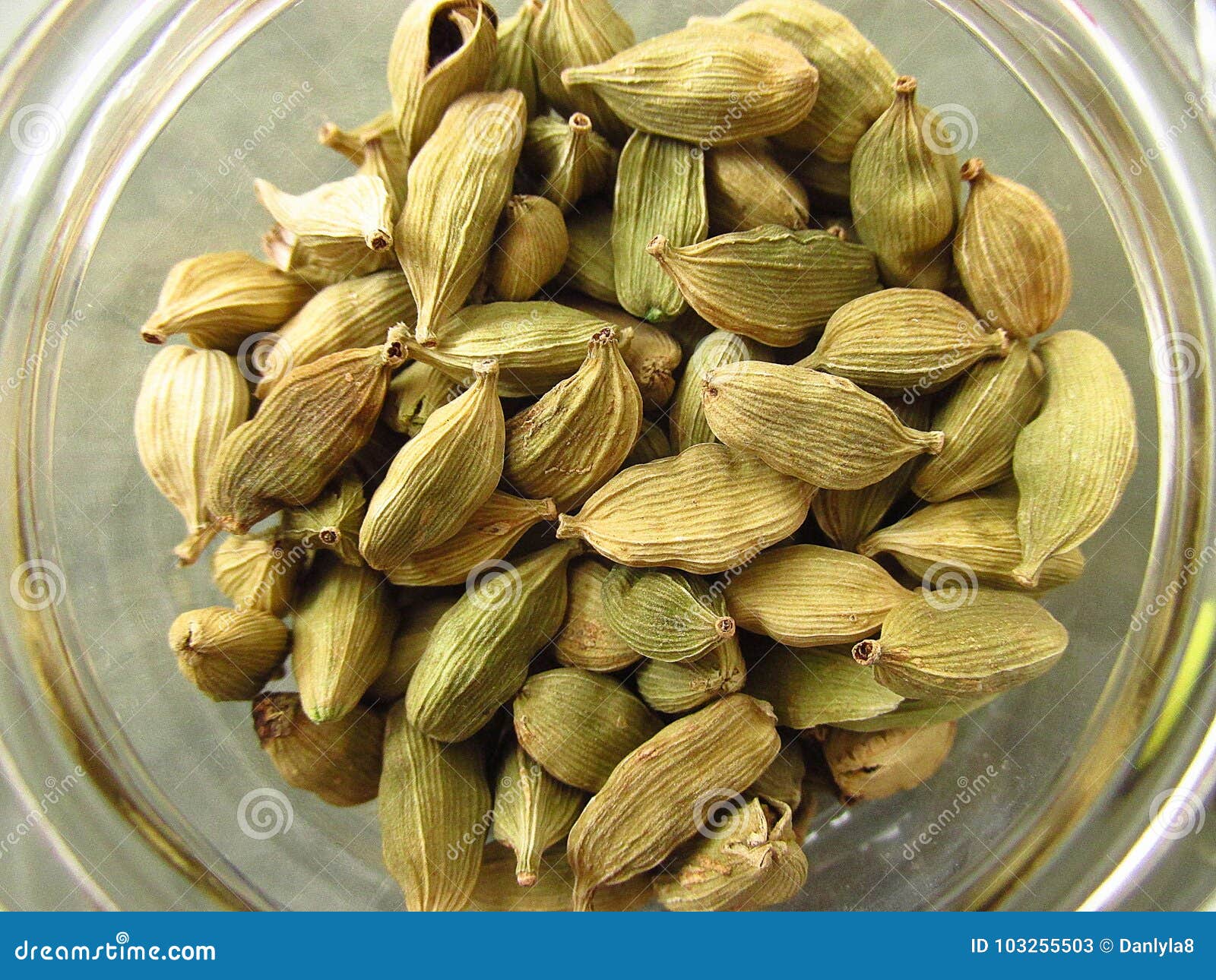 Organic texture: Cardamom stock image. Image of cardamom - 103255503