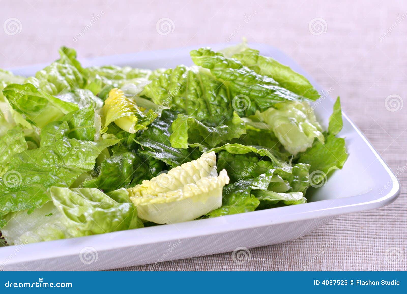 Bowl of fresh lettuce stock image. Image of produce, dish - 4037525