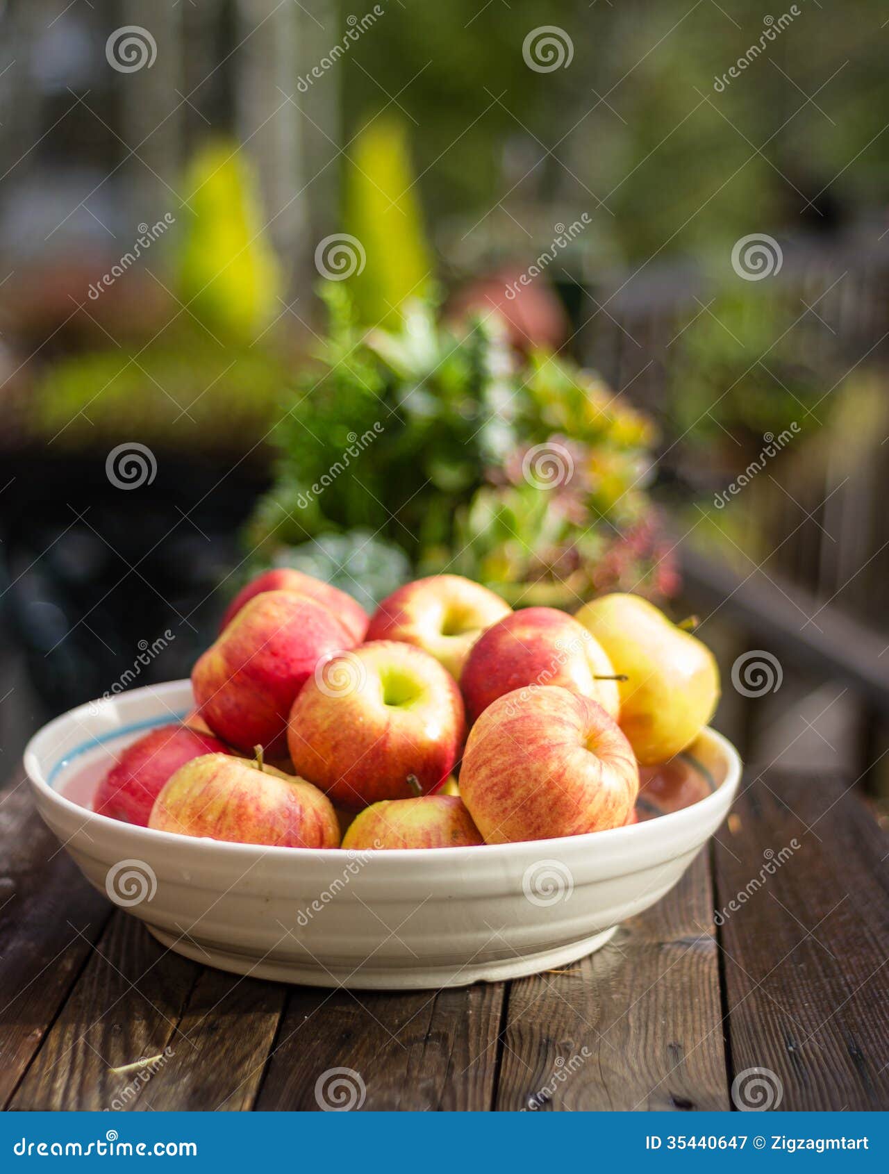 Bowl of Fresh Picked Apples Stock Image - Image of white, fruit: 35440647