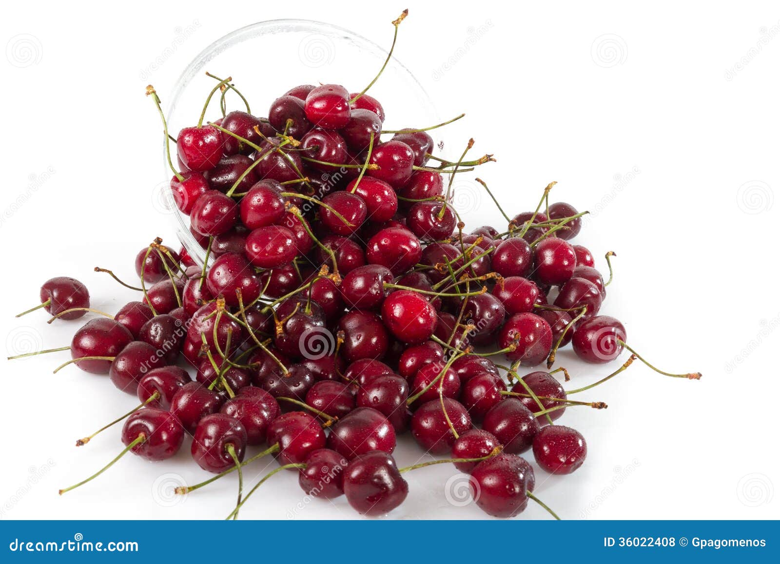Bowl of Fresh Ripe Cherries Stock Photo - Image of water, health: 36022408