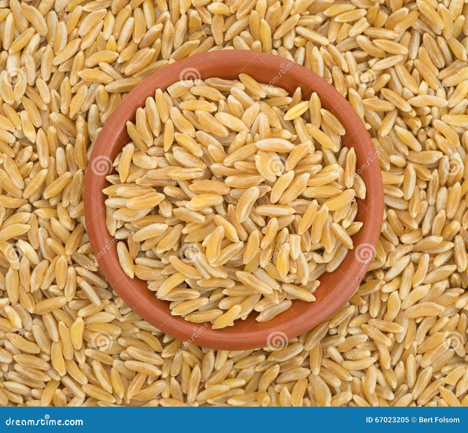 Bowl of Khorasan wheat stock image. Image of uncooked - 67023205