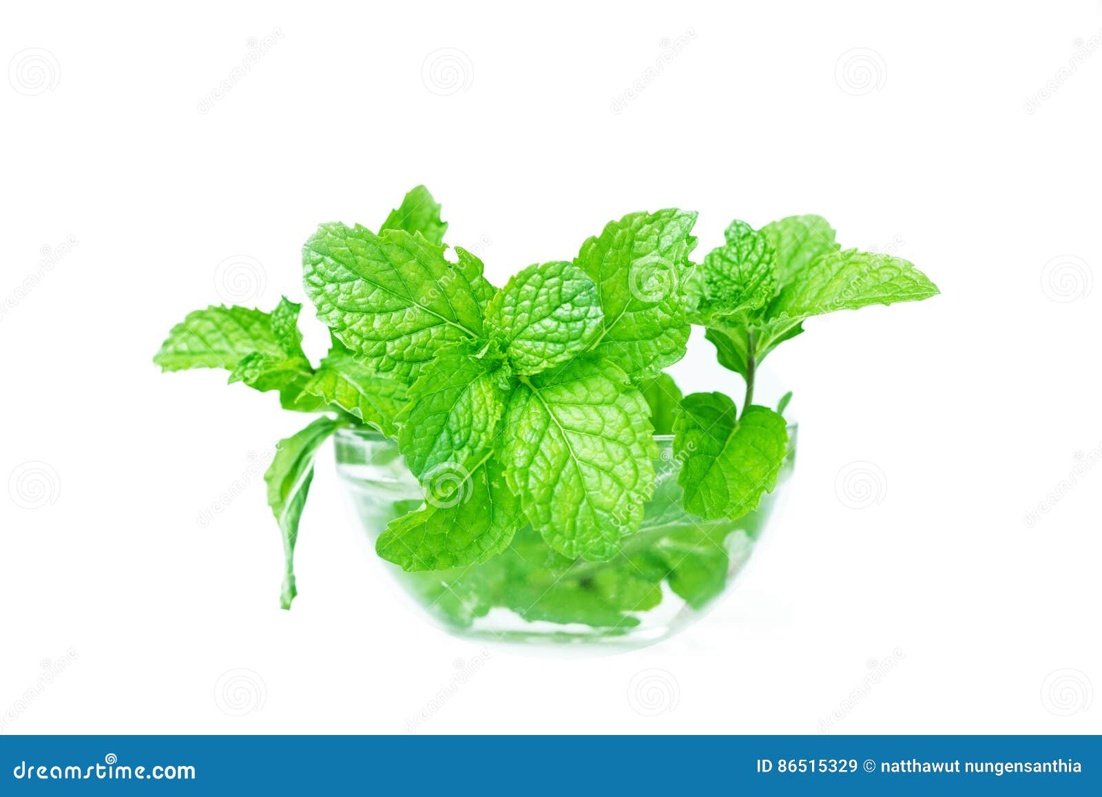 Bowl of Mint Leaves Isolated on White Background, Front View,mint Stock ...