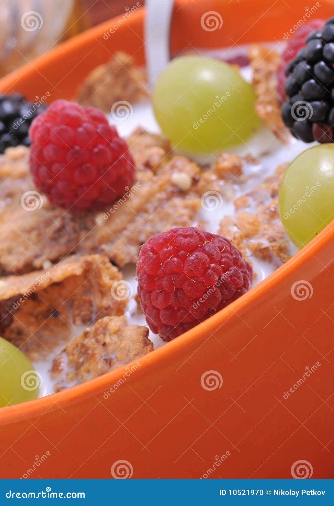 Bowl of muesli stock photo. Image of cereal, honey, crunchy - 10521970