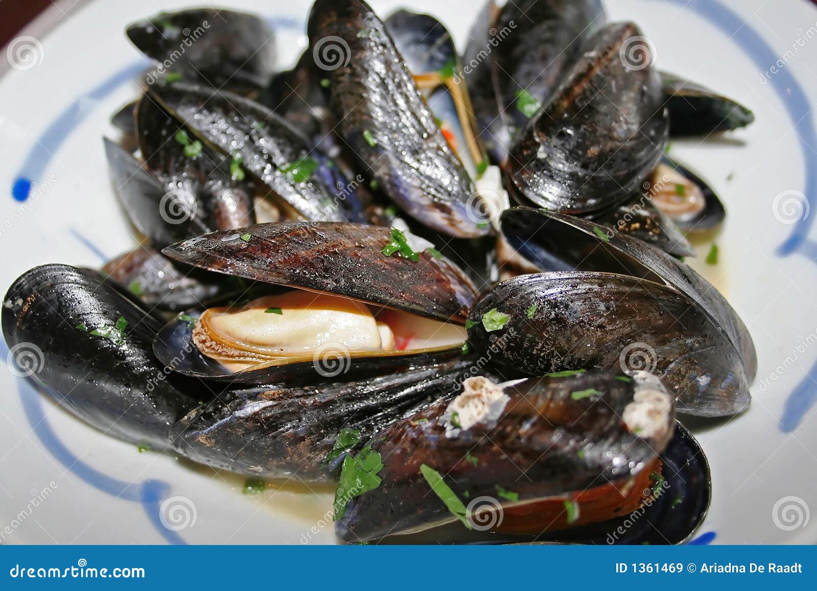 Bowl of mussels stock image. Image of plate, parsley, fresh - 1361469