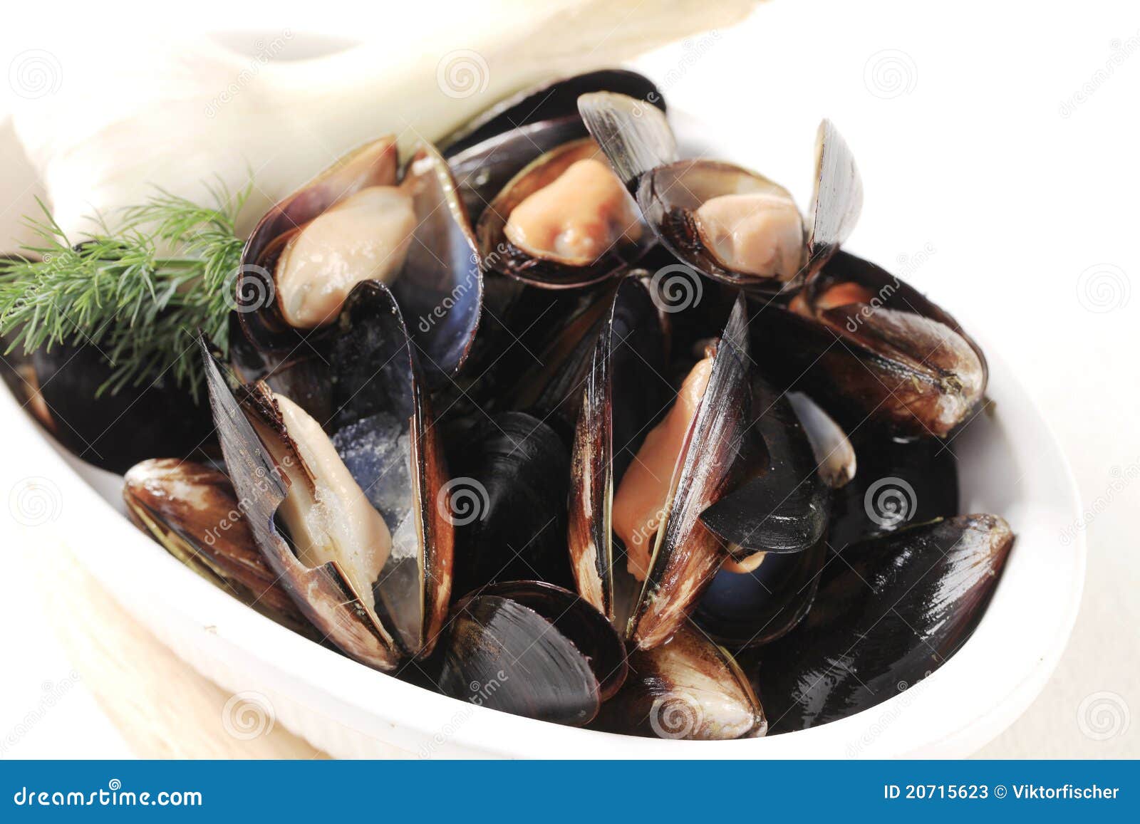 Bowl of mussels stock image. Image of fresh, seafood - 20715623